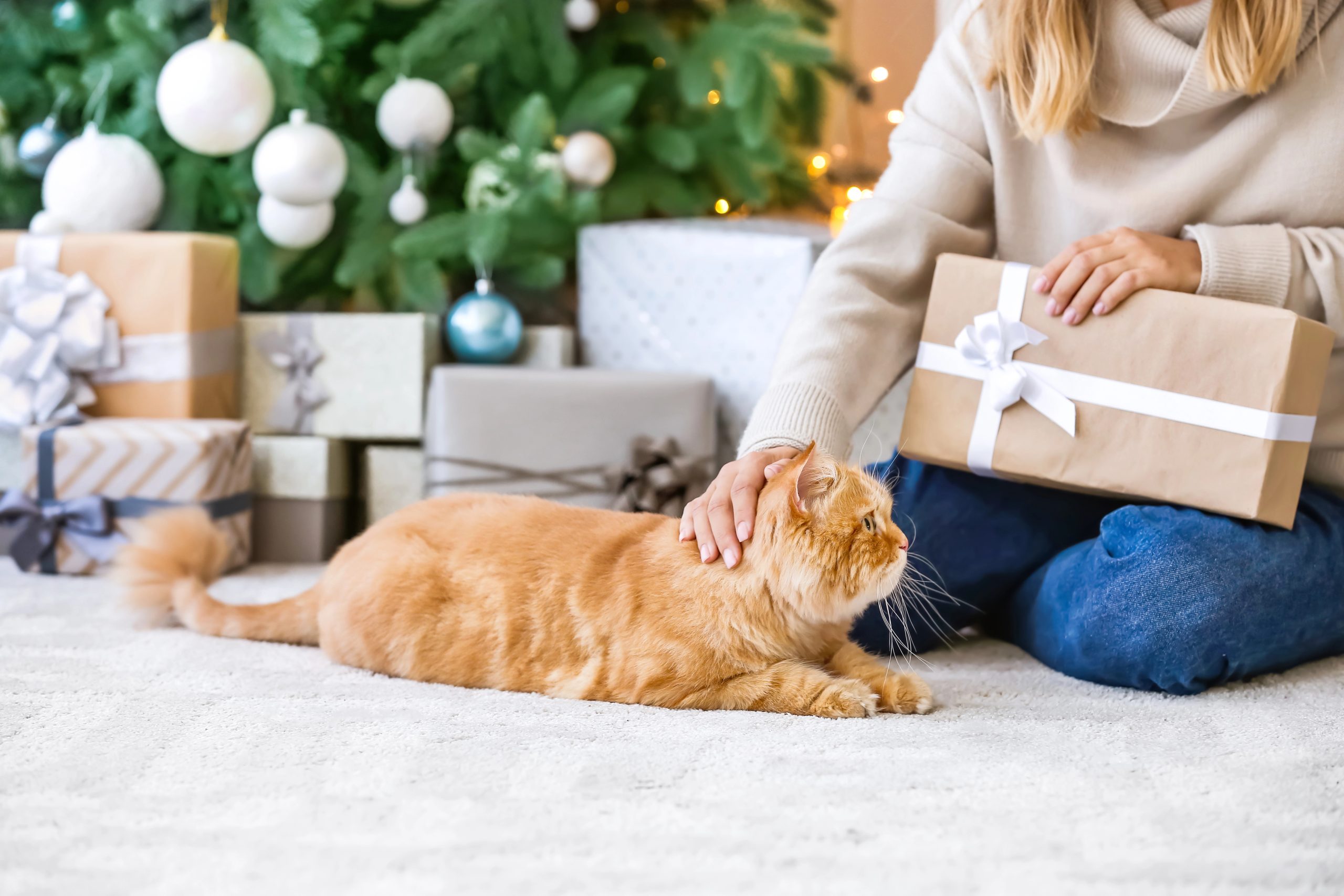 107 Purr-Fect Gifts For Cat Lovers! - MyRegistry.com